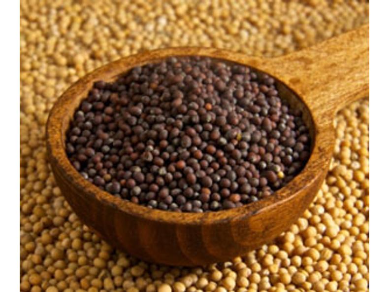 Mustármag, fehér, fekete gyógyhatása | DR IMMUN.com